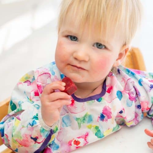 Healthy Baby Snacks - My Kids Lick The Bowl