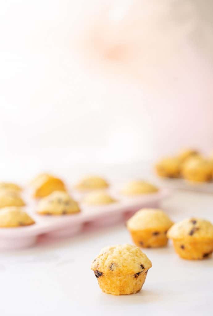 Chocolate Chip Mini Muffins - My Kids Lick The Bowl