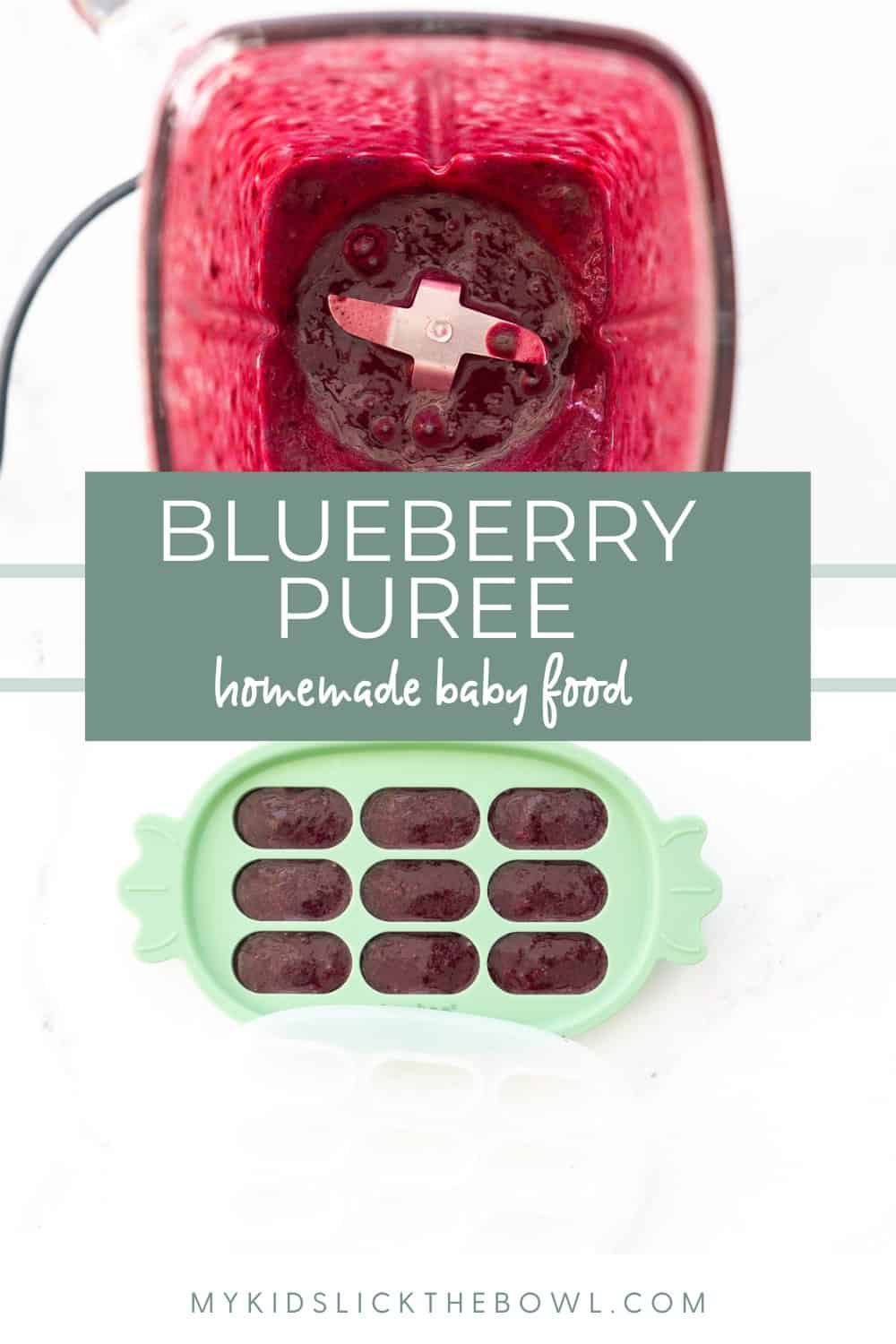 Blueberry Puree - My Kids Lick The Bowl