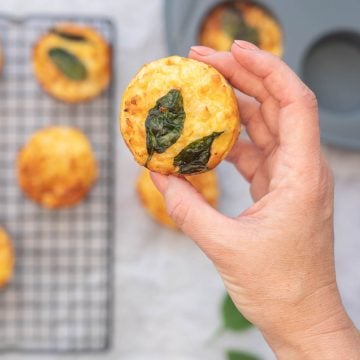 Breakfast Egg Muffins - My Kids Lick The Bowl