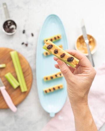 Ants on a log - My Kids Lick The Bowl